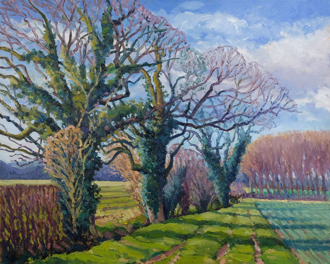 Jeff Parker Art
